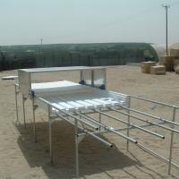 China UV Sterilized DWC Hydroponics System Ideal For Disease Resistant Vegetable Cultivation for sale