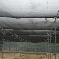 China Polyethylene Lightweight Sun Shade Greenhouse Commercial Shade House for sale