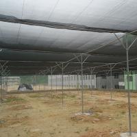 China Polyethylene Lightweight Sun Shade Greenhouse Commercial Shade House for sale