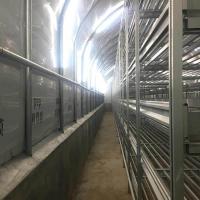 China Heat Preservation Heavy Duty Plastic Greenhouse With Customized Length for sale
