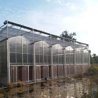 China Good Thermal Insulation Venlo Polycarbonate Sheet PC Panel Greenhouse for sale