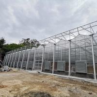 China Good Thermal Insulation Venlo Polycarbonate Sheet PC Panel Greenhouse for sale