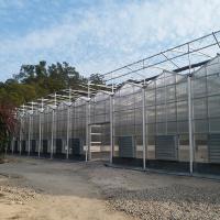 China Good Thermal Insulation Venlo Polycarbonate Sheet PC Panel Greenhouse for sale