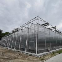 China Good Thermal Insulation Venlo Polycarbonate Sheet PC Panel Greenhouse for sale