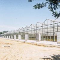 China Advanced Glass Modern Greenhouse For Optimal Light Transmission And Heat Preservation for sale