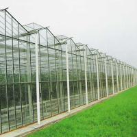 China Advanced Glass Modern Greenhouse For Optimal Light Transmission And Heat Preservation for sale