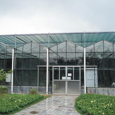 China Advanced Glass Modern Greenhouse For Optimal Light Transmission And Heat Preservation for sale