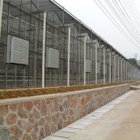 China Advanced Glass Modern Greenhouse For Optimal Light Transmission And Heat Preservation for sale