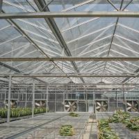 China Advanced Glass Modern Greenhouse For Optimal Light Transmission And Heat Preservation for sale