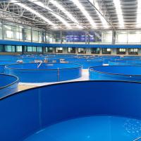 China Temperature Controllable High Density Recirculated Aquaculture System RAS Farming System for sale
