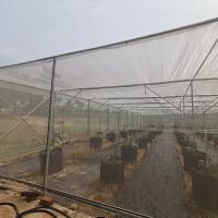 China Agricultural Insect Net House Lightweight Regulating The Microclimate for sale