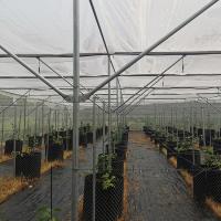 China Agricultural Insect Net House Lightweight Regulating The Microclimate for sale