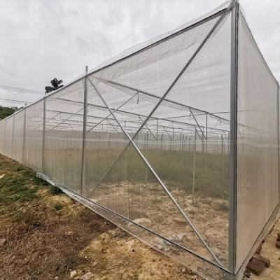 China Agricultural Insect Net House Lightweight Regulating The Microclimate for sale