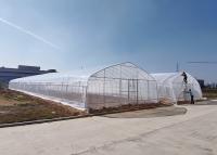 China 5-10 Meter Width Singular Span Greenhouse With All By Steel Clips Assembly for sale