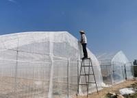 China HDPE Insect Net House Galvanized Steel Pipe For Vegetable Seedling Nursery for sale