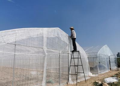 China HDPE Insect Net House Galvanized Steel Pipe For Vegetable Seedling Nursery for sale