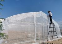 China 8x6 Value Greenhouse Weatherproof UV-Resistant for Commercial & Home Gardening for sale
