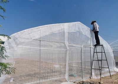 China 8x6 Value Greenhouse Weatherproof UV-Resistant for Commercial & Home Gardening for sale