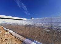China 8x6 Value Greenhouse Weatherproof UV-Resistant for Commercial & Home Gardening for sale
