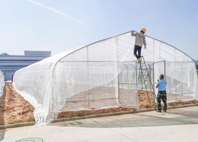 China Advanced Clear Anti Drip Steel Frame Greenhouse Poly Tunnels For Gardens for sale