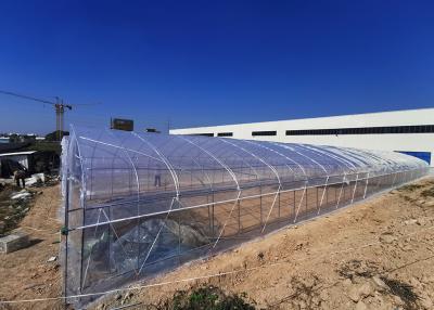 China Vegetable Growing Single Span Greenhouse With Shade Net Covering Material Anti-UV Film for sale