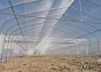 China Economical Easy Installation Polycarbonate Greenhouse Kits Heavy Duty Poly Tunnel for sale