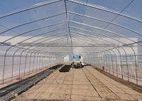China Economical Easy Installation Polycarbonate Greenhouse Kits Heavy Duty Poly Tunnel for sale