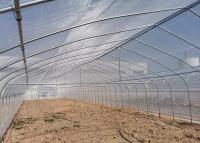 China HDPE Insect Net House Galvanized Steel Pipe For Vegetable Seedling Nursery for sale