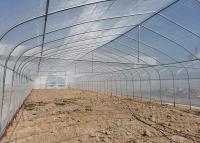 China Advanced Clear Anti Drip Steel Frame Greenhouse Poly Tunnels For Gardens for sale