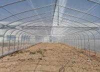 China Advanced Clear Anti Drip Steel Frame Greenhouse Poly Tunnels For Gardens for sale