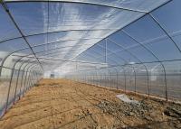 China Advanced Clear Anti Drip Steel Frame Greenhouse Poly Tunnels For Gardens for sale