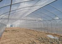 China UV Stabilized Single Span Greenhouse Galvanized Tubes Long Lasting Shelter for Aquaculture for sale