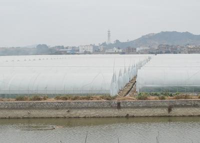 China Anti Corrosion Single Span Greenhouse High Tunnel Agriculture Greenhouse With Irrigation System for sale