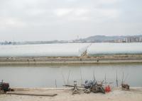 China Efficient Single Span Greenhouse Strong Adaptability Suitable For Cultivation for sale
