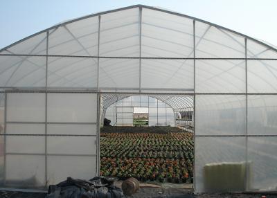 China Spacious 	Single Span Greenhouse With 3.5-6m Height Anti Drip Film For Diverse Crops for sale