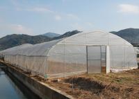 China Ventilation Plastic Tunnel Greenhouse Garden Poly Tunnel For Tomato More Vigorous Growth for sale