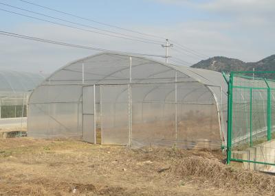 China Backyard Agricultural Poly Tunnel Greenhouse Hot House For Plants for sale