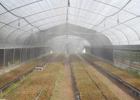 China Vegetable Growing Single Span Greenhouse With Insect Screen Covering Material for sale