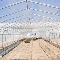 China Backyard Agricultural Poly Tunnel Greenhouse Hot House For Plants for sale