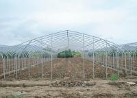 China Backyard Agricultural Poly Tunnel Greenhouse Hot House For Plants for sale
