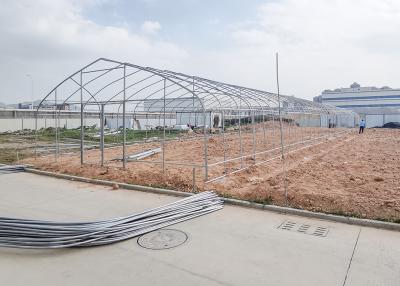 China Poly Plastic Polytunnel Greenhouse Good Light Transmittance For Seedling for sale