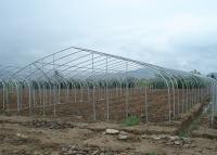 China Ventilation Plastic Tunnel Greenhouse Garden Poly Tunnel For Tomato More Vigorous Growth for sale