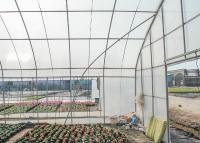 China Poly Plastic Polytunnel Greenhouse Good Light Transmittance For Seedling for sale