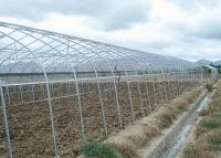 China Galvanized Frame Single Span Greenhouse For Thriving Vegetables Poly Tunnel Garden for sale
