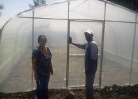 China All Season Use Diy Small Greenhouse Walk In Greenhouse Kit For Garden for sale