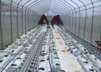 China UV Protection Small Polycarbonate Greenhouse Mini Tunnel Greenhouse With Rust Proof Frame for sale