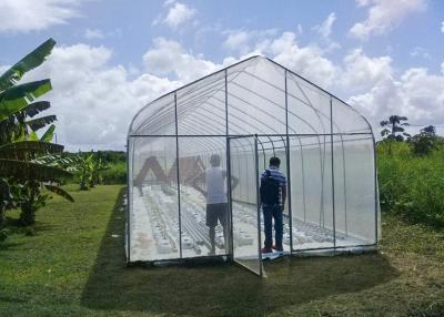 China UV Protection Small Polycarbonate Greenhouse Mini Tunnel Greenhouse With Rust Proof Frame for sale