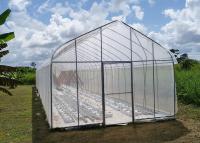 China UV Protection Small Polycarbonate Greenhouse Mini Tunnel Greenhouse With Rust Proof Frame for sale