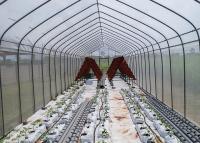 China Small Galvanized Greenhouse with Reinforced Plastic Film for All-Season Growing for sale