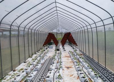 China Small Galvanized Greenhouse with Reinforced Plastic Film for All-Season Growing for sale